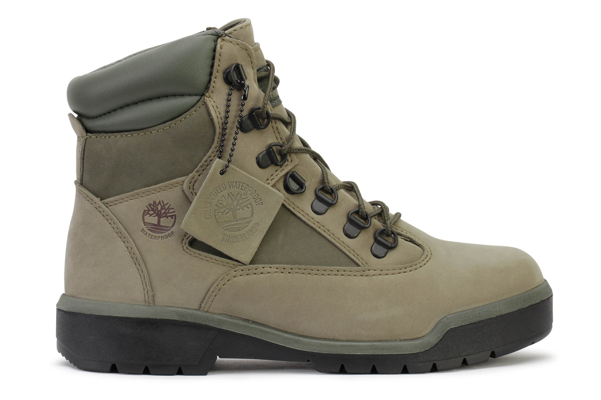 Timberland 6" Premium Waterproof Field Boots | MJ Footwear